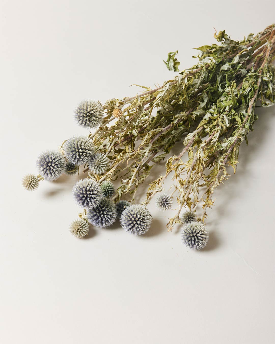 Farmhouse Pottery - Thistle Bundle