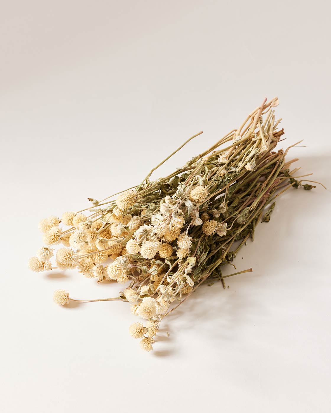 Farmhouse Pottery - Natural Dried Amaranth