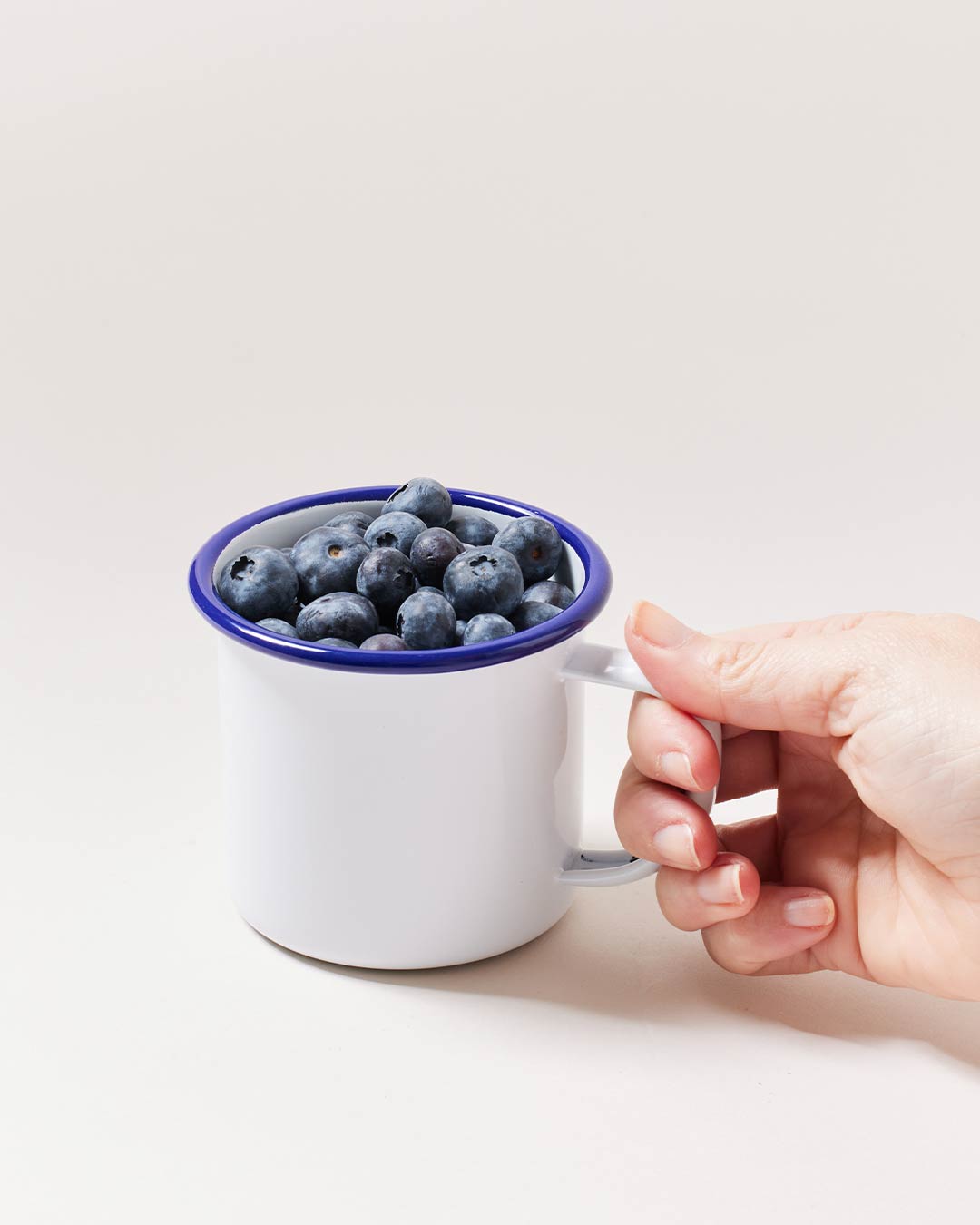 Farmhouse Pottery - Everyday Enamelware Mug